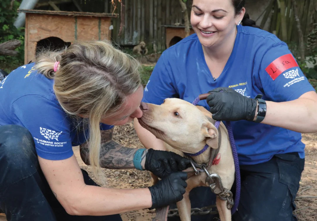 Giving Tuesday: Putting Motivation Into Action | The VEERAH Blog ...